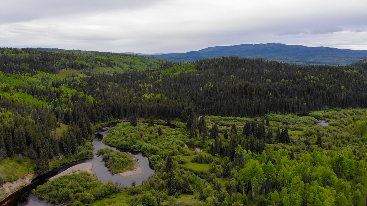 Collaborating with regulators to build an extraordinary legacy for B.C.