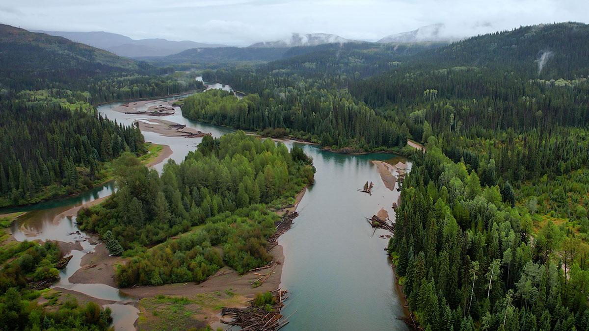 Morice River Update